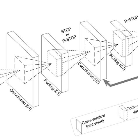 A Comparison Between The Biological Neuron Artificial Neuron And