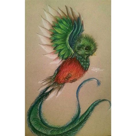 Quetzal 🍃 Draw Design Drawing Bird Quetzal Beautiful