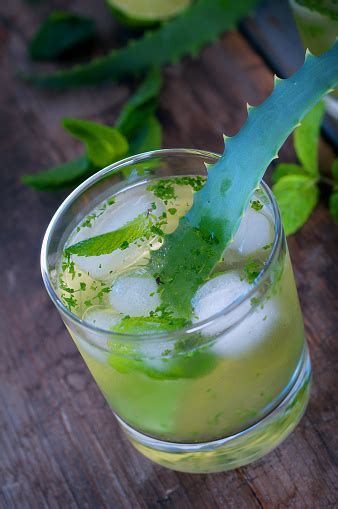 민트와 아이스 큐브를 곁들인 알로에 베라와 라임 칵테일 0명에 대한 스톡 사진 및 기타 이미지 0명 각얼음 냉동된 Istock