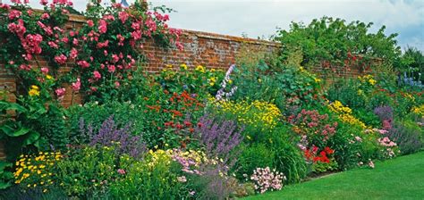 Garden Border Plant Ideas