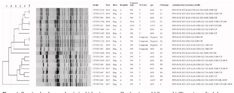 Figure 1 From Methicillin Resistant Staphylococcus Aureus Clonal Complex 398 As A Major Mrsa