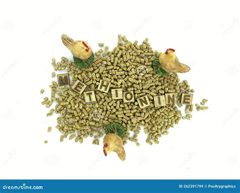 Effects Of Lysine And Methionine In A Low Crude Protein Diet On The Growth Performance In