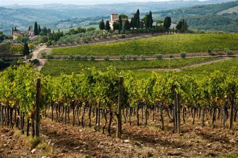 11 Must Visit Tuscany Wineries Savored Journeys