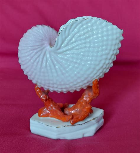 Nautilus Shell The Goss Collectors Club