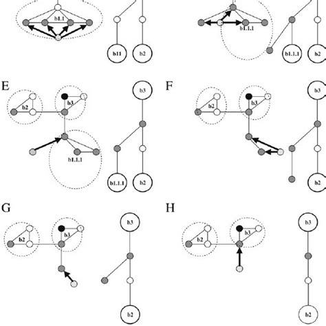 the algorithm execution at each iteration of the algorithm a m the