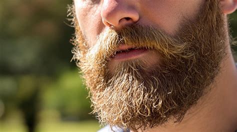 Why Are Men Growing Beards Now Beard Institute