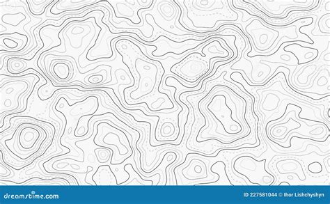 Topography Contour Map With Grid Vector Relief Map Stock Vector Illustration Of Frame