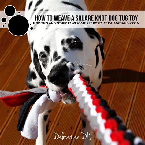 Diy Square Knot Fleece Dog Tug Toy Artofit