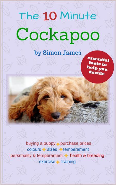 Cockapoo Rescue Pages 5 Point Plan Cockapoo For Life