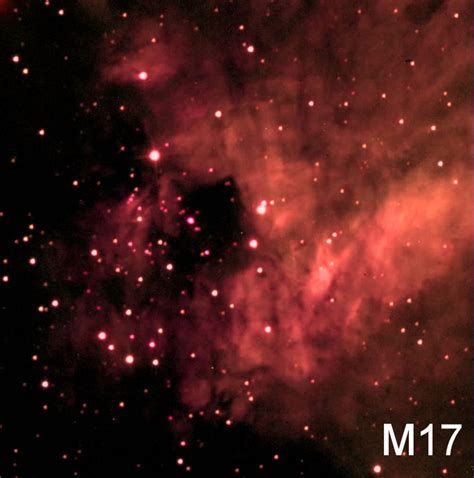 Sagittarius The Archerskywise Unlimited