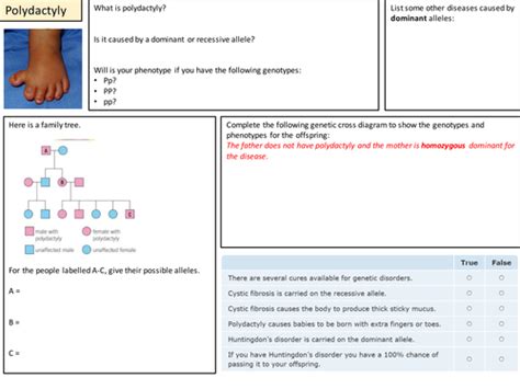 Inherited Diseases Aqa Gcse Combined Trilogy 9 1 Teaching Resources