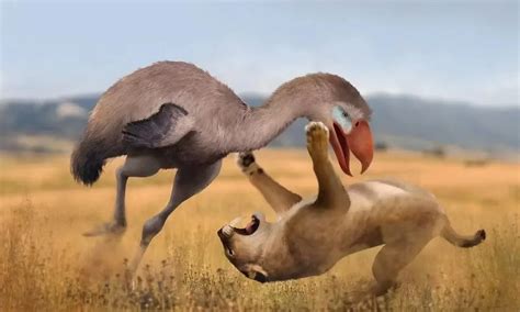 关于一些史前鸟类的介绍（能力有限，欢迎指正） 哔哩哔哩