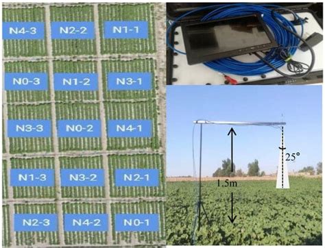 Modeling Of Cotton Yield Estimation Based On Canopy Sun Induced
