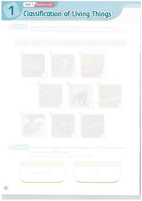 Pdf Unit 1 Classification Of Living Things Matching Classify