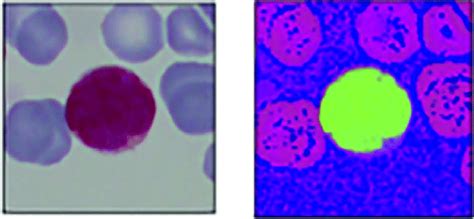 Bgr And Hsv Format Input Images Download Scientific Diagram