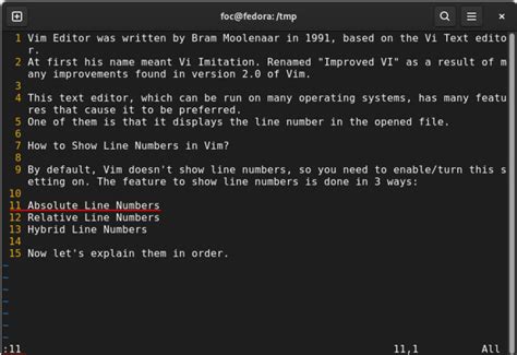 Show Line Numbers In Vim Absolute Relative Hybrid Golinuxcloud