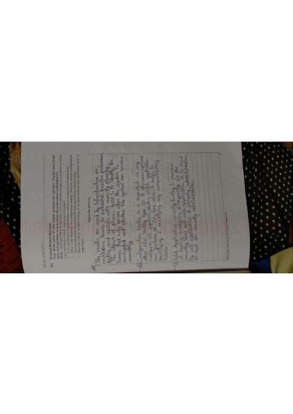 Software Testing Solved Manual Answers Pdf Ste Msbte 22518