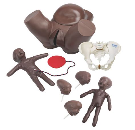 Obstetric Phantom Set Dark Adam Rouilly