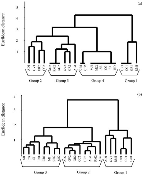 A Dendrogram Obtained From The Activation Maps B Dendrogram Download Scientific Diagram
