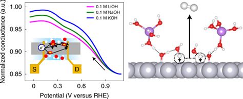 碱金属阳离子和铂表面羟基在碱性析氢反应中的作用 Nature Catalysis X MOL