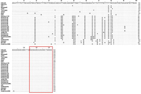 Nucleotide Sequence Alignment Of The 5 0 Noncoding Region Ncr Of 29
