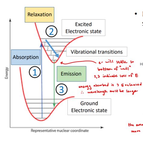 Elm 13 Excitable Cells Optogenetics Dyes And Radioligands Flashcards