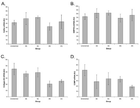 4 Different Expression Levels Of Various Markers Important For