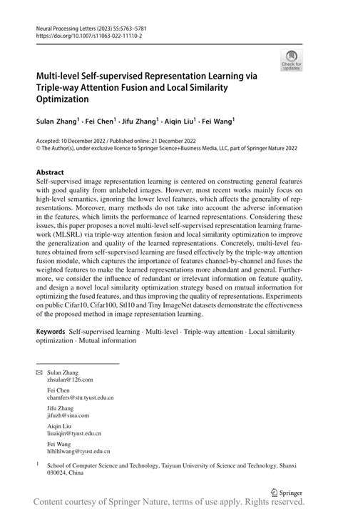 Multi Level Self Supervised Representation Learning Via Triple Way