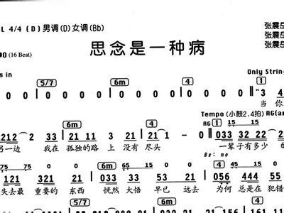 思念是一种病 张震岳 蔡健雅 歌谱 简谱