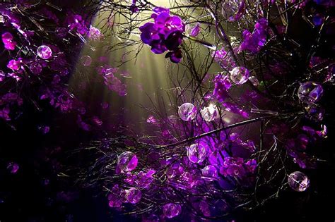 Plain Purple Desktop Wallpapers Top Free Plain Purple Desktop