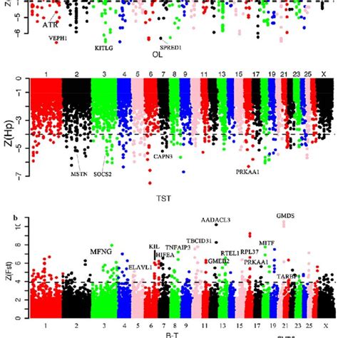 Analysis Of The Signatures Of Positive Selection In The Genome Of