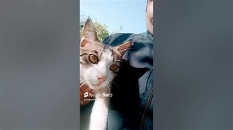 Thunka Thunka Whatsappstatus Yashomatimaiyasebolenandlala Trending Viralvideo Youtube