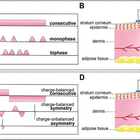 Waveform Of Electrical Stimulation And The Position Of Electrode A Download Scientific