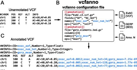 Overview Of The Vcfanno Workflow An Unannotated Vcf A Is Sent To
