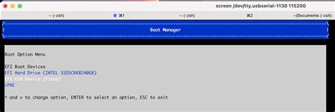 Cisco 8000 Software Manageability Usb Boot Cisco 8000 Xrdocs
