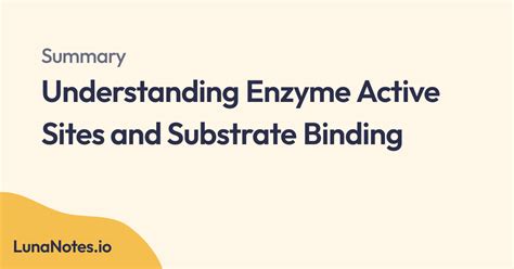 Understanding Enzyme Active Sites And Substrate Binding Video Summary By Lunanotes
