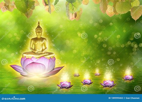 Boeddha Standje Water Lotus Buddha Op Oranje Achtergrond Op Lotusbloem