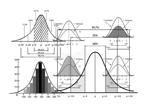 Standard Deviation Diagram With Sample Size Chart Stock Vector