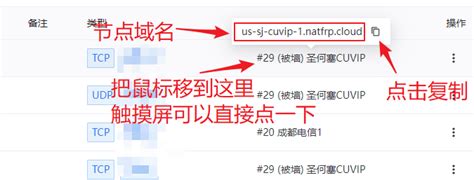 常见问题 其他 SakuraFrp 帮助文档
