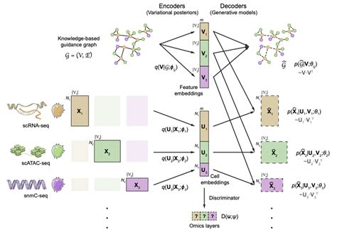 Github Gao Labglue Graph Linked Unified Embedding For Single Cell