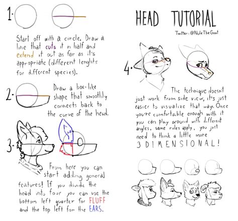 How To Draw A Furry For Beginners