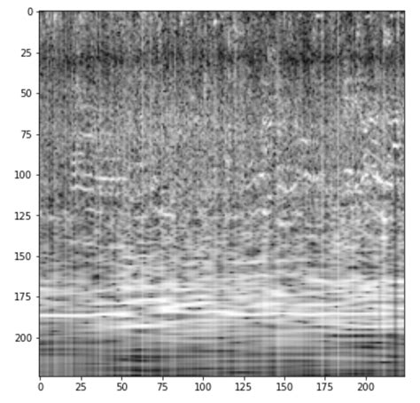 Image After Random Audio Transform Download Scientific Diagram