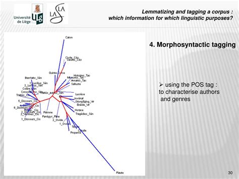 ppt lemmatizing and tagging a corpus which information for which