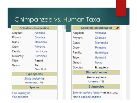 Taxonomy P Ppt Download
