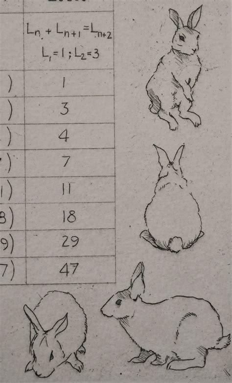 Fibonaccis Rabbit Art Print By Will Taylor Wychwood Art