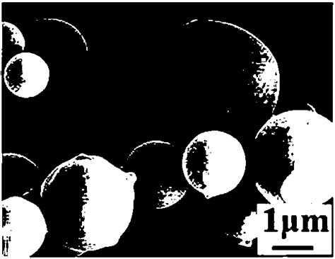 Preparation Method Of Polyphenylene Oxide Coating Epoxy Resin
