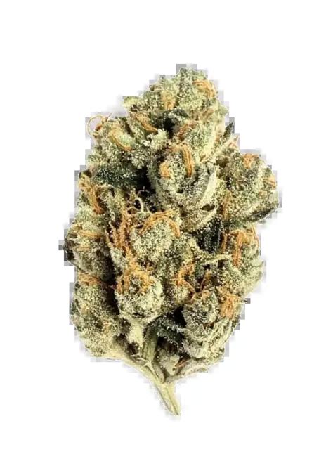 G13 Cannabis Strain Information Growdiaries