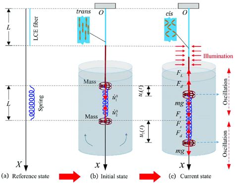 Schematic Of A Self Oscillating System Composed Of A Passive Spring