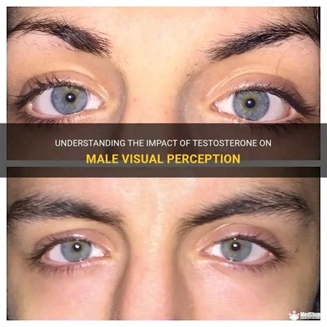 Understanding The Impact Of Testosterone On Male Visual Perception