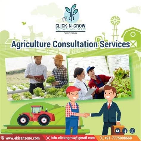 Agri Commodity Export Services In Akola